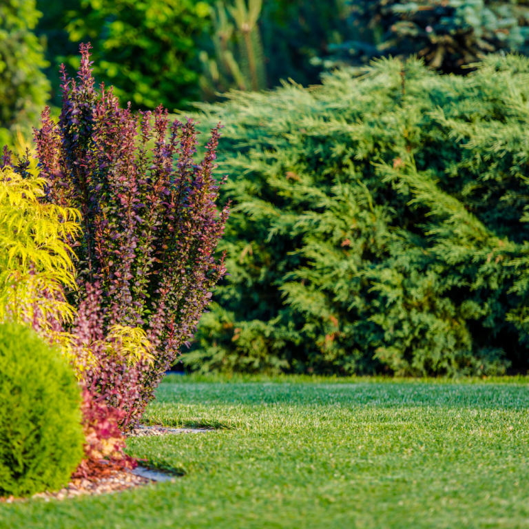 The 7 Best Backyard Landscaping Ideas For Your Home | Graham Hart ...